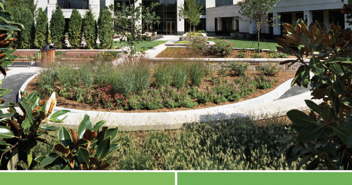 The Duke Endowment | Our Landscaping